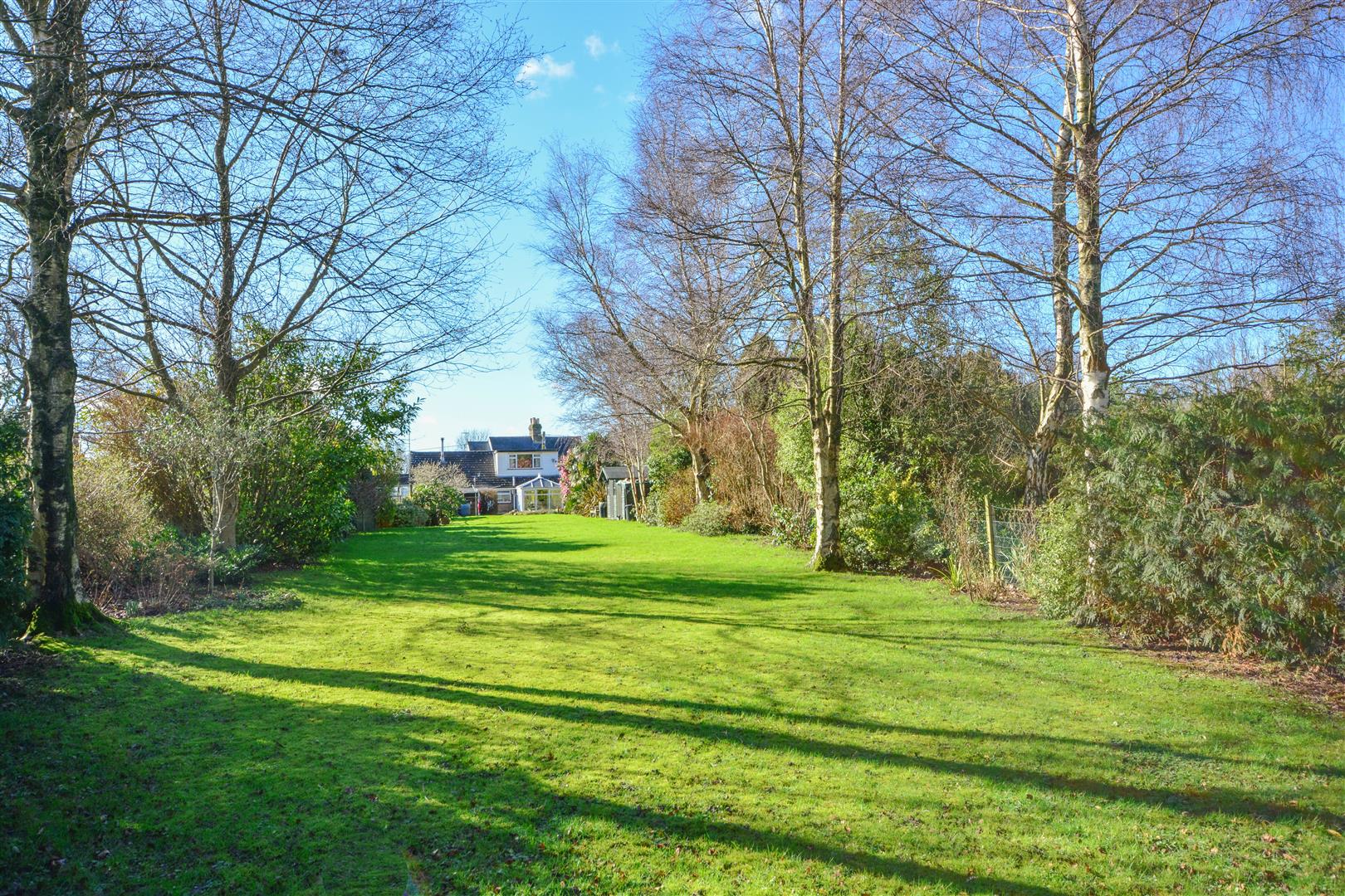 Netherfield Hill, Battle - Rush, Witt & Wilson